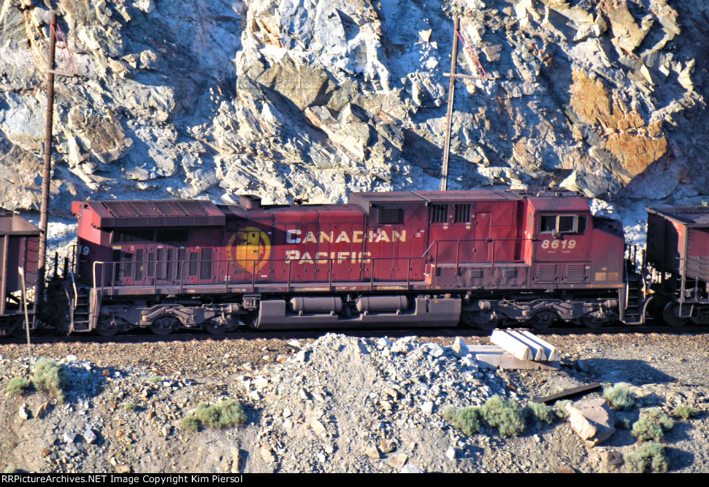 CP 8619 Mid-Train DPU